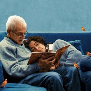 The Eternal Memory - Rotten Tomatoes