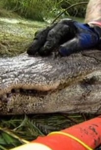 Swamp Brothers: Season 1, Episode 2 | Rotten Tomatoes