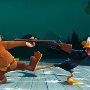 Daffy's Rhapsody - Rotten Tomatoes