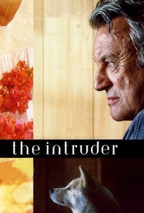 The Intruder | Rotten Tomatoes