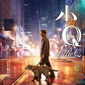 Little Q - Rotten Tomatoes
