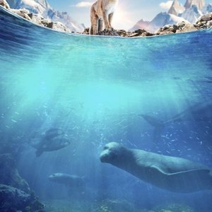 Patagonia: Life on the Edge of the World - Rotten Tomatoes