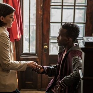 A Stray - Rotten Tomatoes