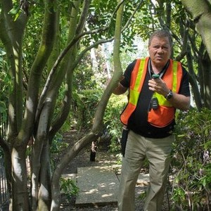 Weird Or What Rotten Tomatoes