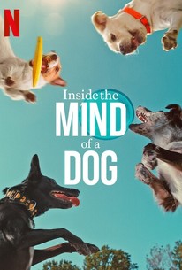 Inside the Mind of a Dog | Rotten Tomatoes