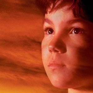 The Education of Little Tree - Rotten Tomatoes