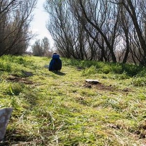 Dromoi - Rotten Tomatoes