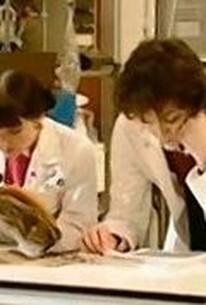 Lab Rats: Season 1, Episode 6 | Rotten Tomatoes