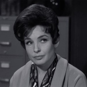 Perry Mason: Season 8, Episode 18 - Rotten Tomatoes