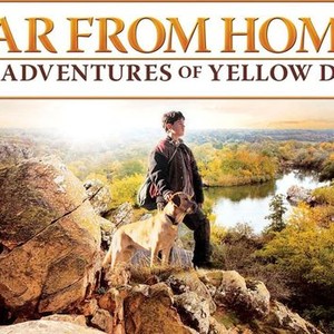 Far From Home: The Adventures of Yellow Dog - Rotten Tomatoes