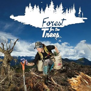 Forest for the Trees - Rotten Tomatoes