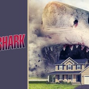 House Shark - Rotten Tomatoes
