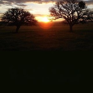 Silent Light - Rotten Tomatoes