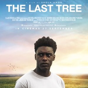 The Last Tree - Rotten Tomatoes