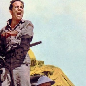 Sahara - Rotten Tomatoes