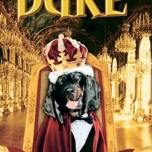 The Duke - Rotten Tomatoes