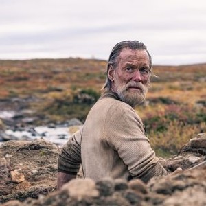 Sisu - Rotten Tomatoes