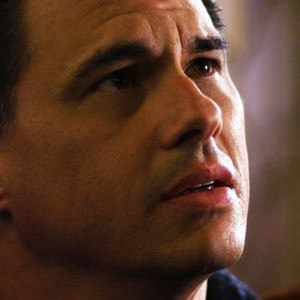 The Investigator - Rotten Tomatoes