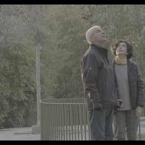 The Eternal Memory - Rotten Tomatoes