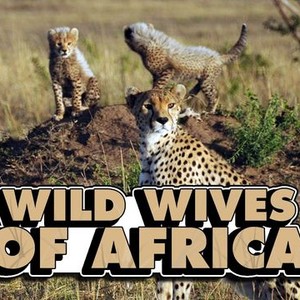 Wild Wives of Africa - Rotten Tomatoes