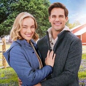 Timeless Love - Rotten Tomatoes