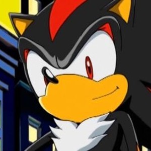 Shadow The Hedgehog Smiling Sonic X