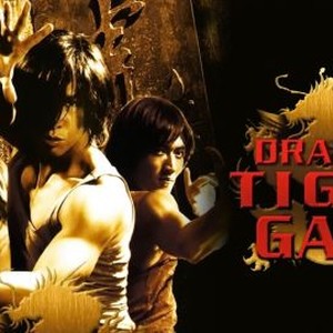 Dragon Tiger Gate - Rotten Tomatoes