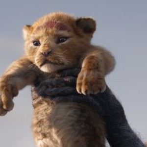 The Lion King - Rotten Tomatoes
