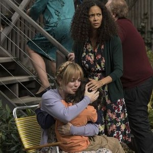 The Slap - Rotten Tomatoes