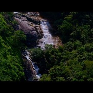 Time to Choose - Rotten Tomatoes