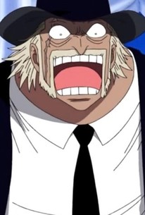 One Piece: Season 8, Episode 34 | Rotten Tomatoes