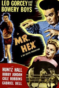 Mr. Hex | Rotten Tomatoes