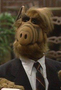 ALF: Season 2, Episode 15 | Rotten Tomatoes