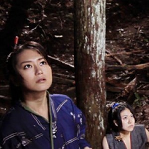 Lady Ninja: Reflections of Darkness - Rotten Tomatoes