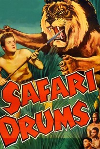 Safari Drums | Rotten Tomatoes