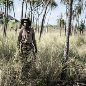 High Ground - Rotten Tomatoes