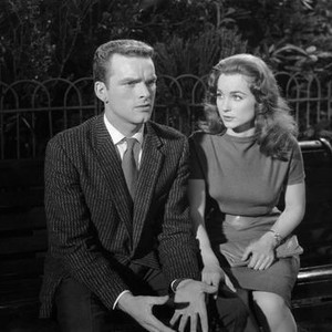 Graham Curnow - Rotten Tomatoes