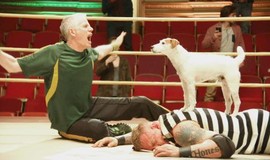 Russell Madness - Trailers & Videos | Rotten Tomatoes