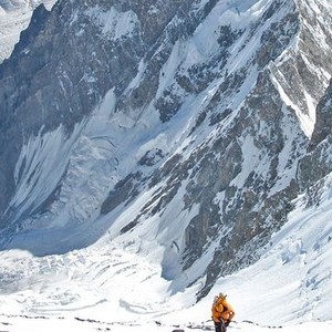 The Summit - Rotten Tomatoes