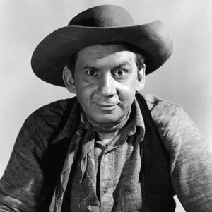 Fuzzy Knight - Rotten Tomatoes