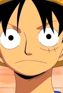 One Piece: Season 11, Episode 11 | Rotten Tomatoes