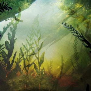 Something Bit Me! - Rotten Tomatoes