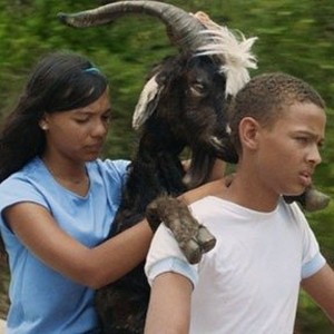 Bad Lucky Goat - Rotten Tomatoes