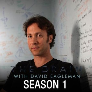 The Brain With David Eagleman - Rotten Tomatoes