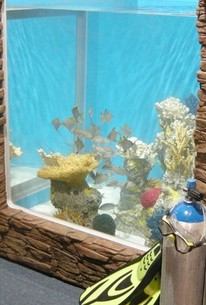 Fish Tank Kings: Season 2, Episode 2 | Rotten Tomatoes