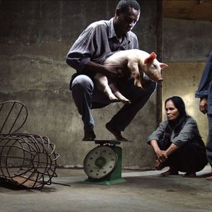 Taste - Rotten Tomatoes