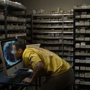 The Alternate - Rotten Tomatoes