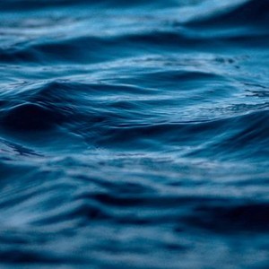 Desperate Escape (2010) - Rotten Tomatoes