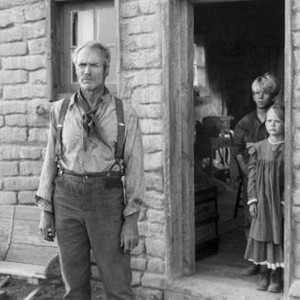 Shane Meier - Rotten Tomatoes