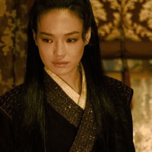 The Assassin - Rotten Tomatoes